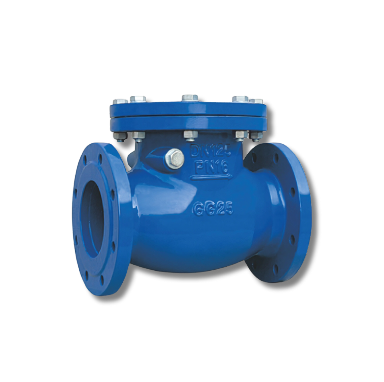 ‏Check Valves - Sahari Tank